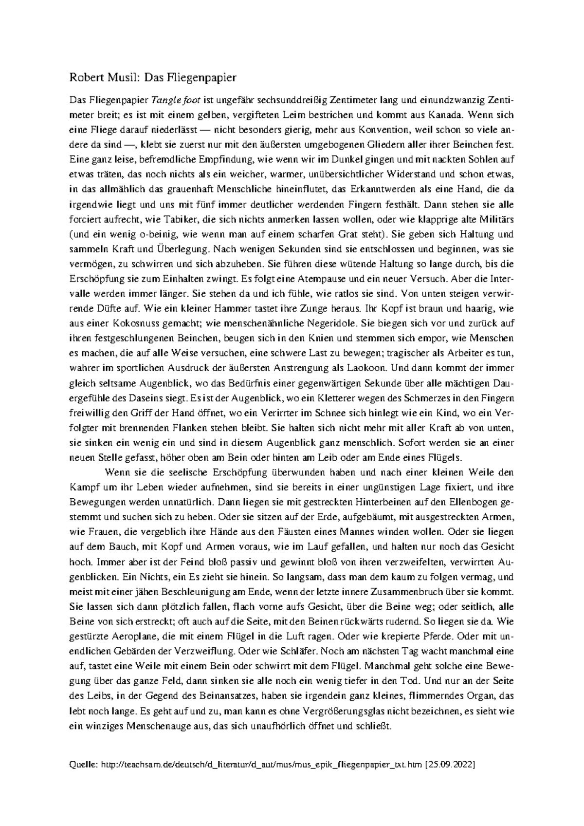 Musil - Das Fliegenpapier - Robert Musil: Das Fliegenpapier Das ...