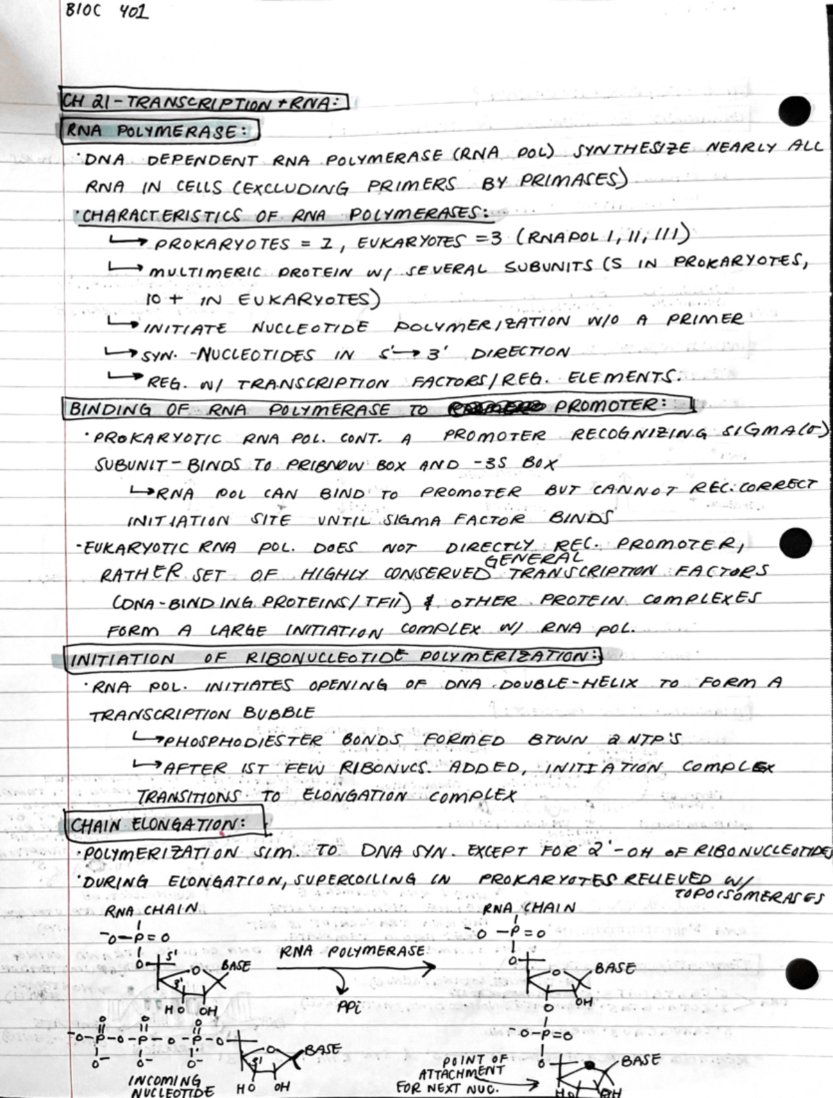 UNL BIOC 401 CH 21-2 Notes - BIOC 401 - Studocu