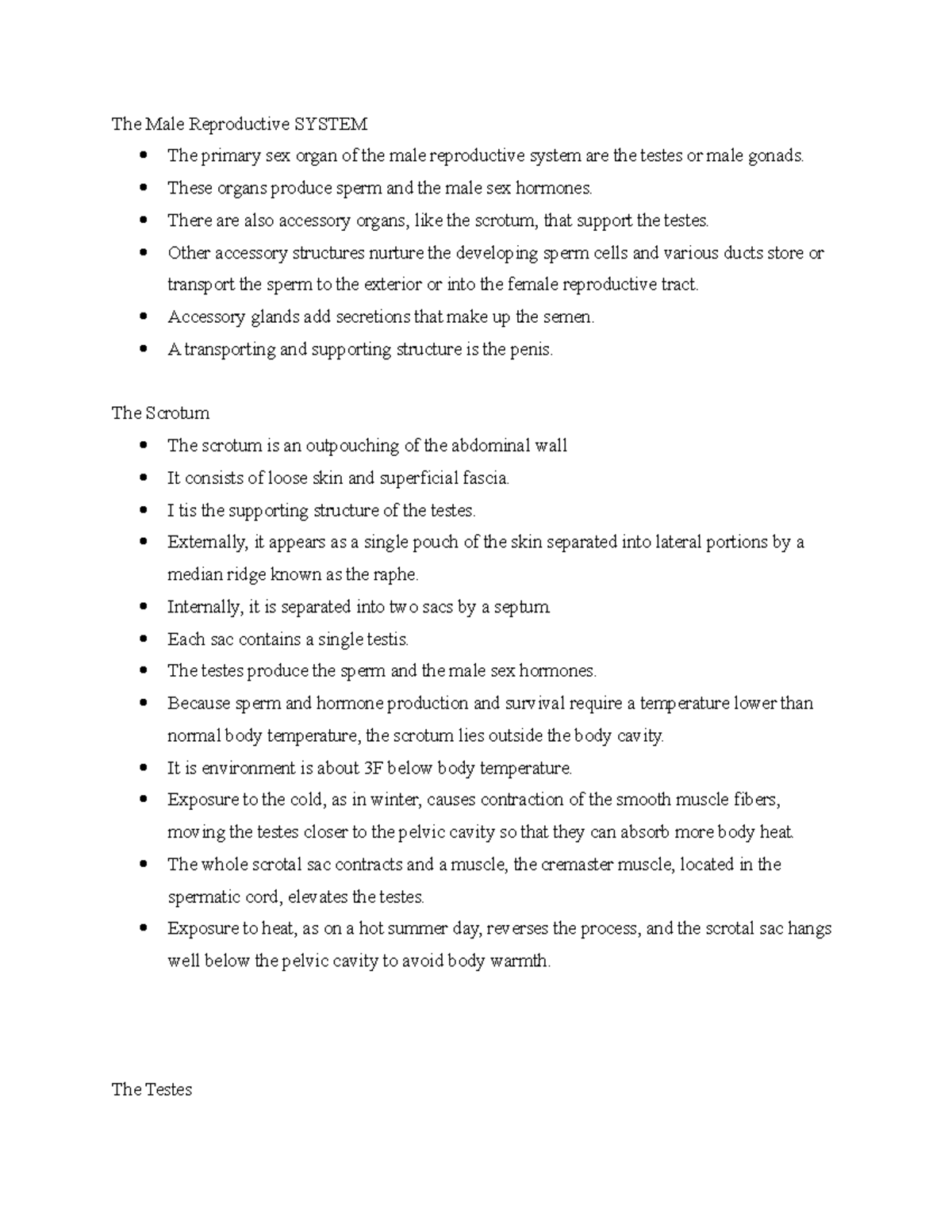 The Male Reproductive System - The Male Reproductive SYSTEM The primary ...