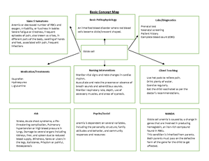 Basic Concept Map anemia - Basic Concept Map Fatigue, Weakness, Pale ...