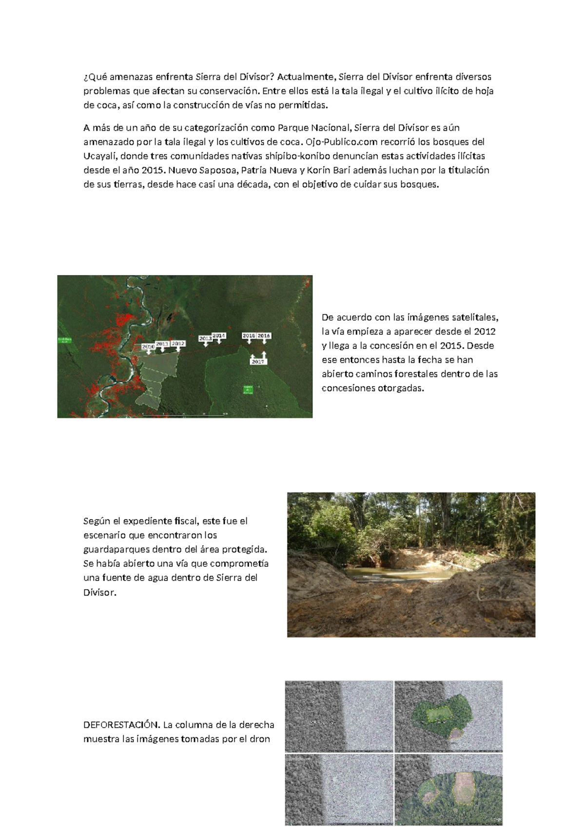 Sierra del Divisor - Entre ellos está la tala ilegal y el cultivo ...