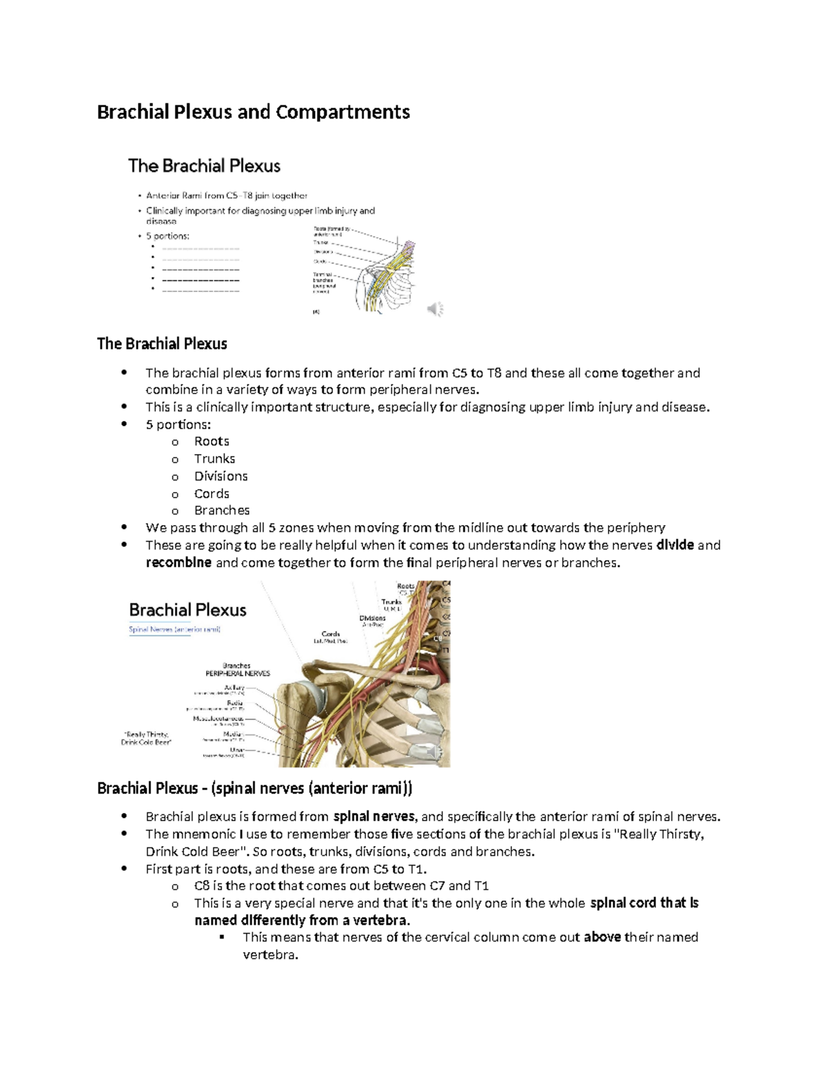 Anatomy 2222 Shoulder to Elbow to Forearm to Hand - Brachial Plexus and ...