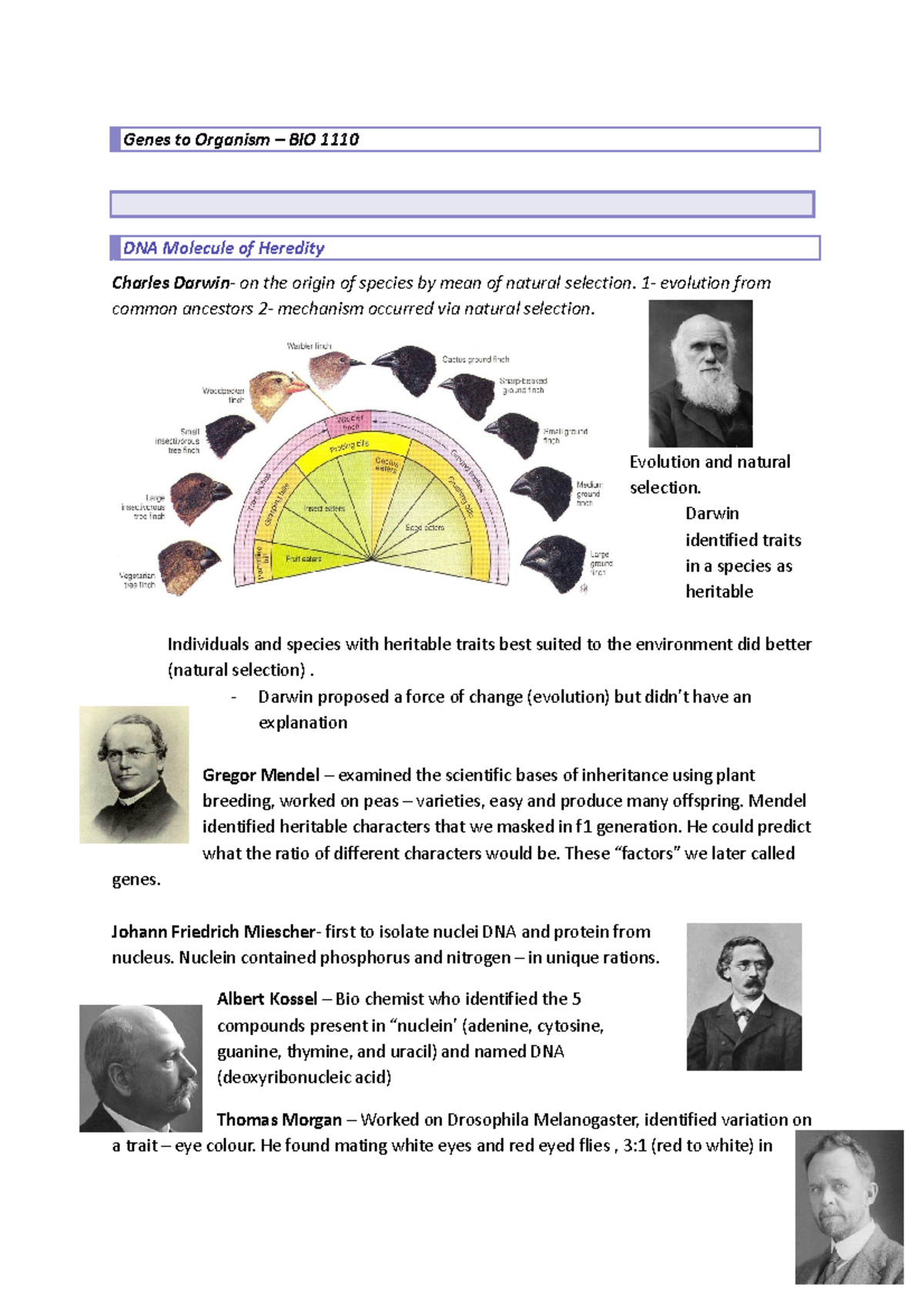 Genes to Organism - Lecture notes for the whole unit - Genes to ...