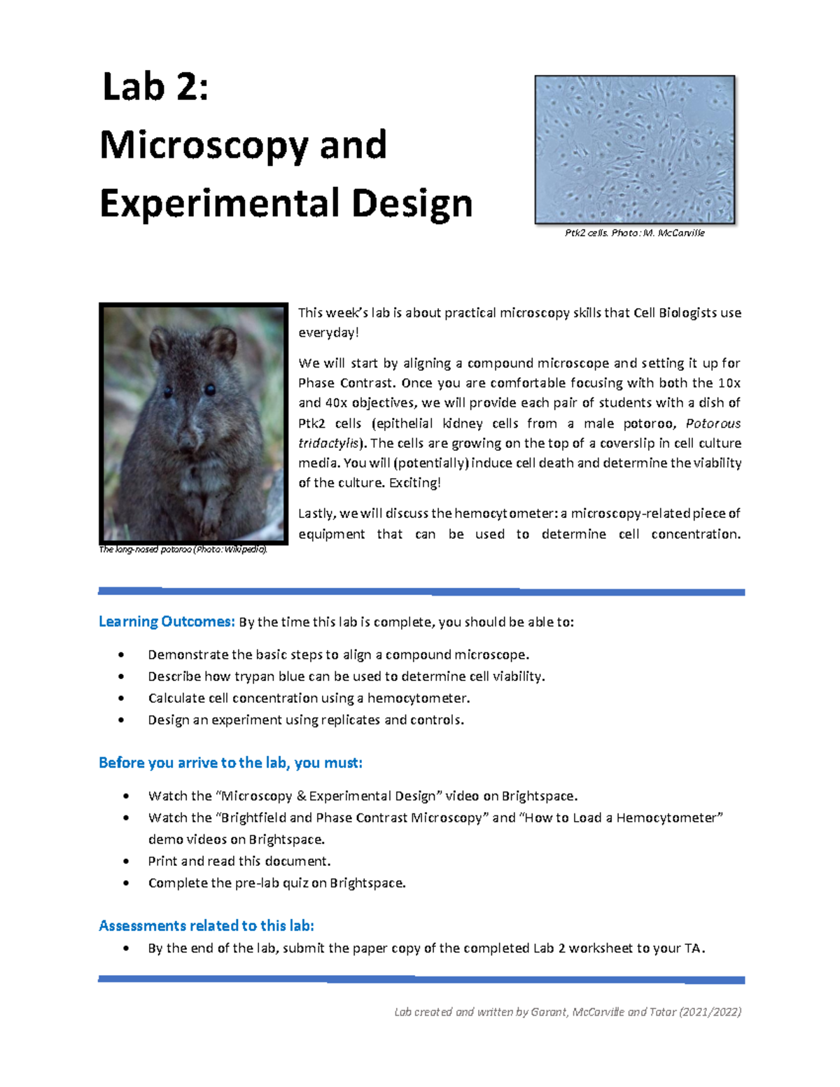 Lab 2 - Microscopy and Experimental Design Guide-3 - Lab 2: Microscopy and Experimental Design ...