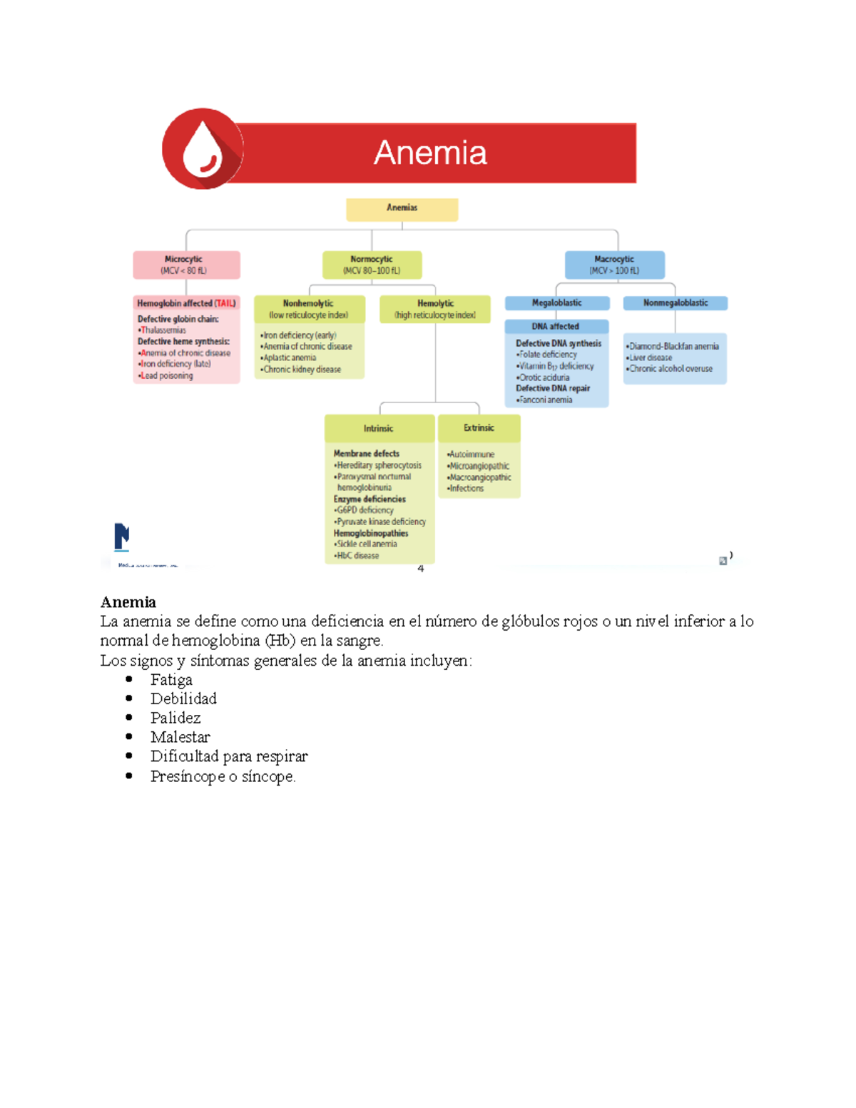 AnemíA QUIZ Cimbi - Diferentes dipos de anemia - Anemia La anemia se ...