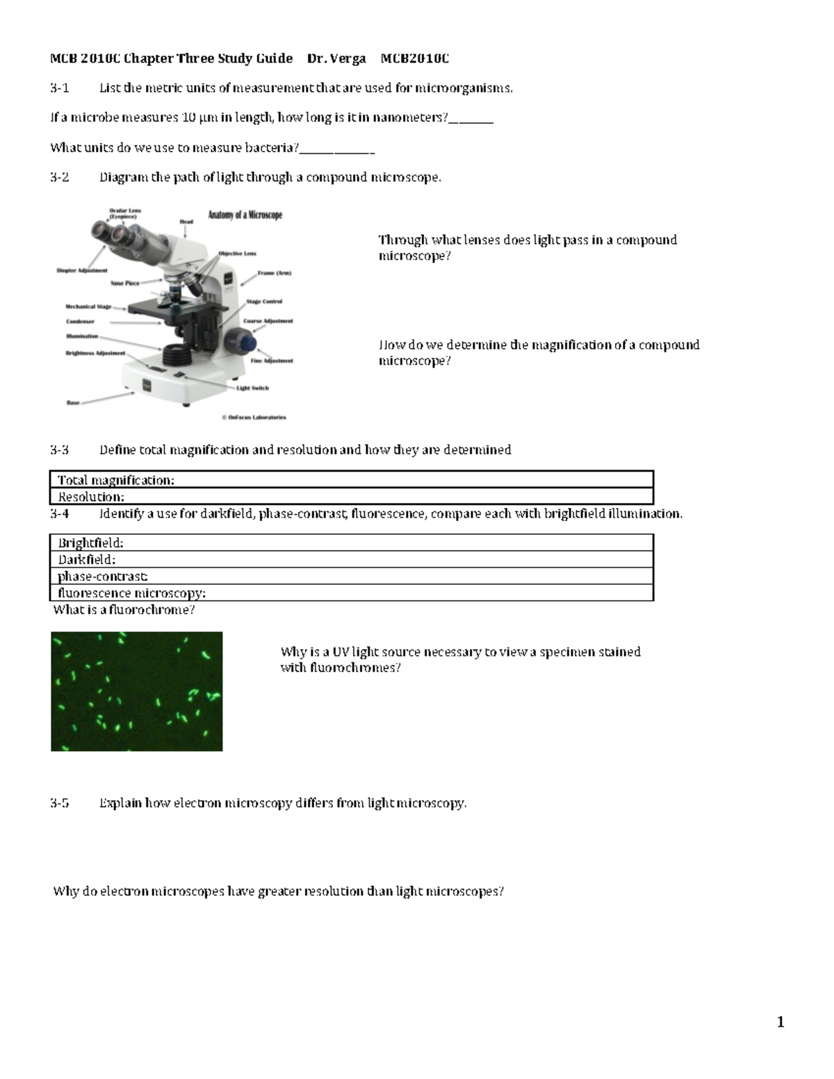 MCB chapter 3 study guide - MCB 2010C Chapter Three Study Guide Dr ...