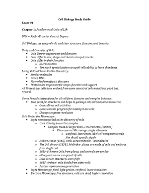 Cell Biology Exam 2 Study Guide - Cell Biology Exam 2 Study Guide ...