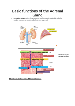 Histology of Endocrine Glands - CEP: S02 - Histology of Endocrine ...