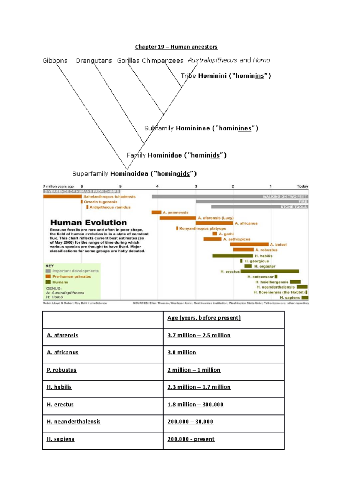 Chapter 19 - Human ancestory - Chapter 19 – Human ancestors Age (years ...