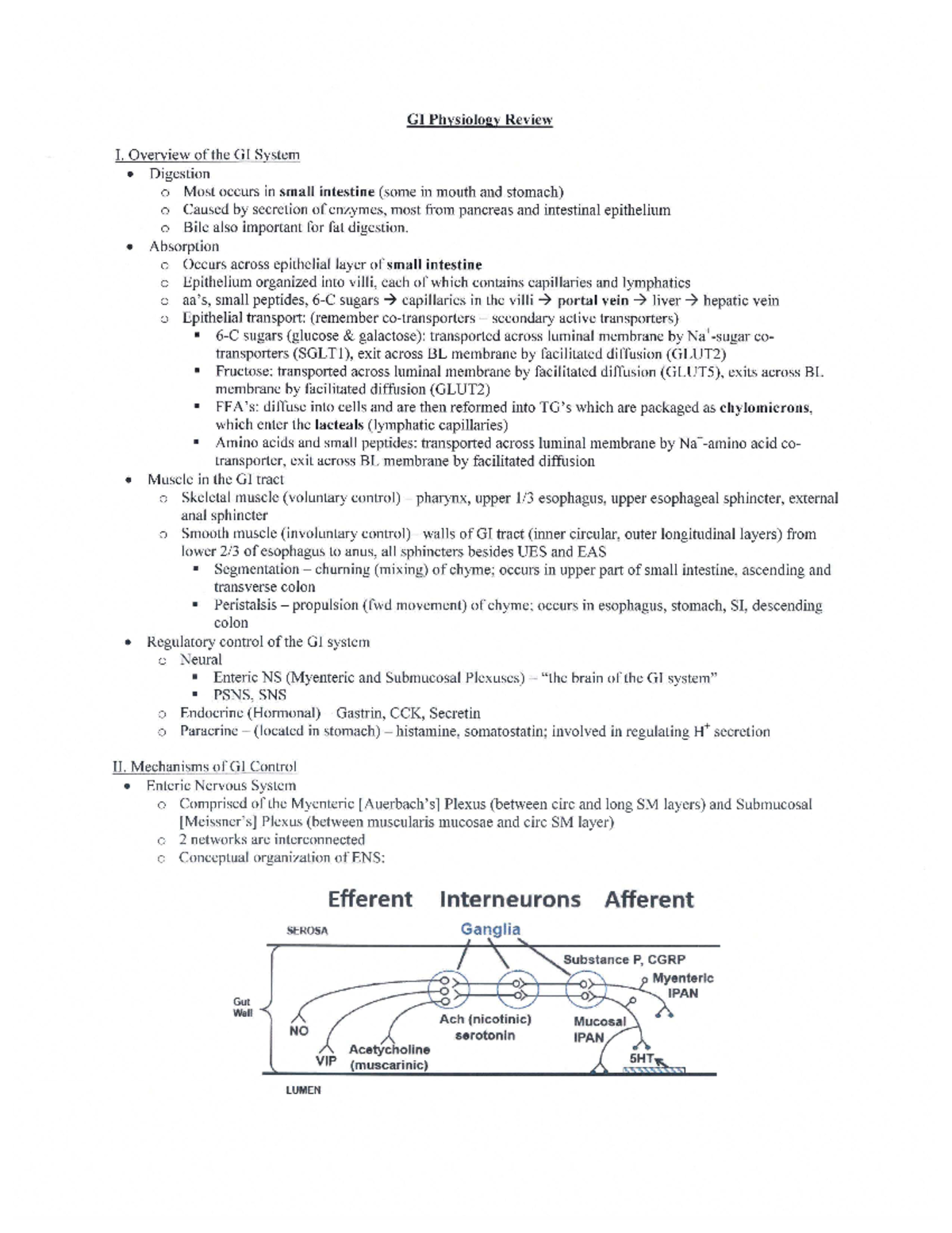 GI Physiology Review - Overview of the GI System Digestion 0 Most ...