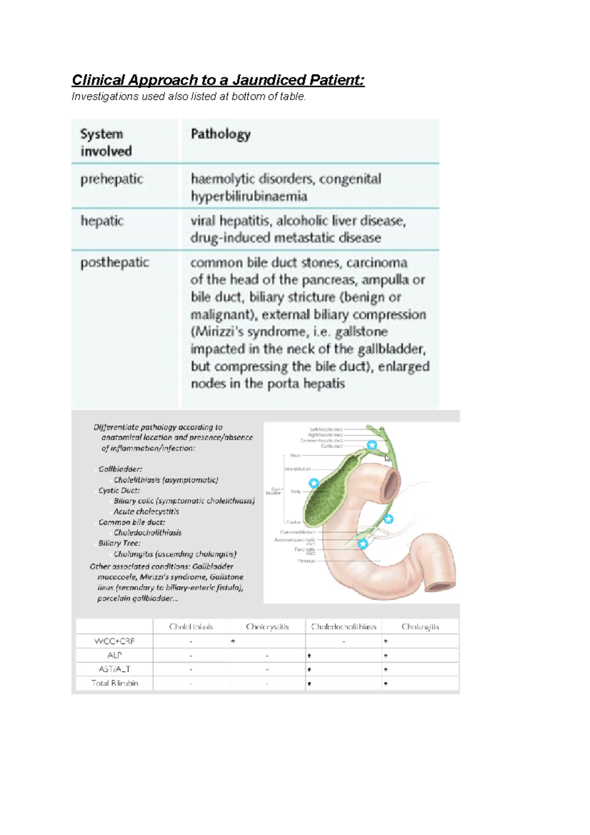 Jaundice - Clinical Approach - Clinical Approach to a Jaundiced Patient ...