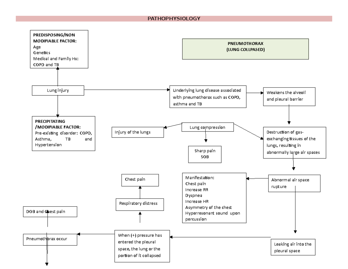 Patho-OF- Pneumothora - PATHOPHYSIOLOGY PRECIPITATING /MODIFIABLE ...