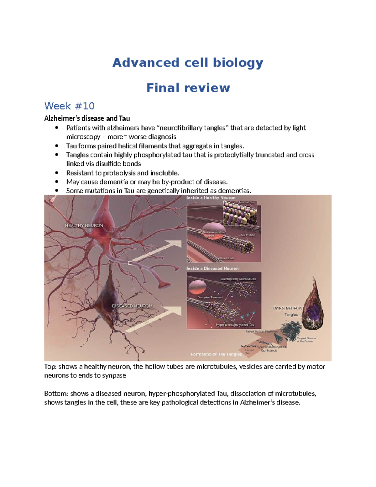 Advanced cell biology week 10 - Advanced cell biology Final review Week ...