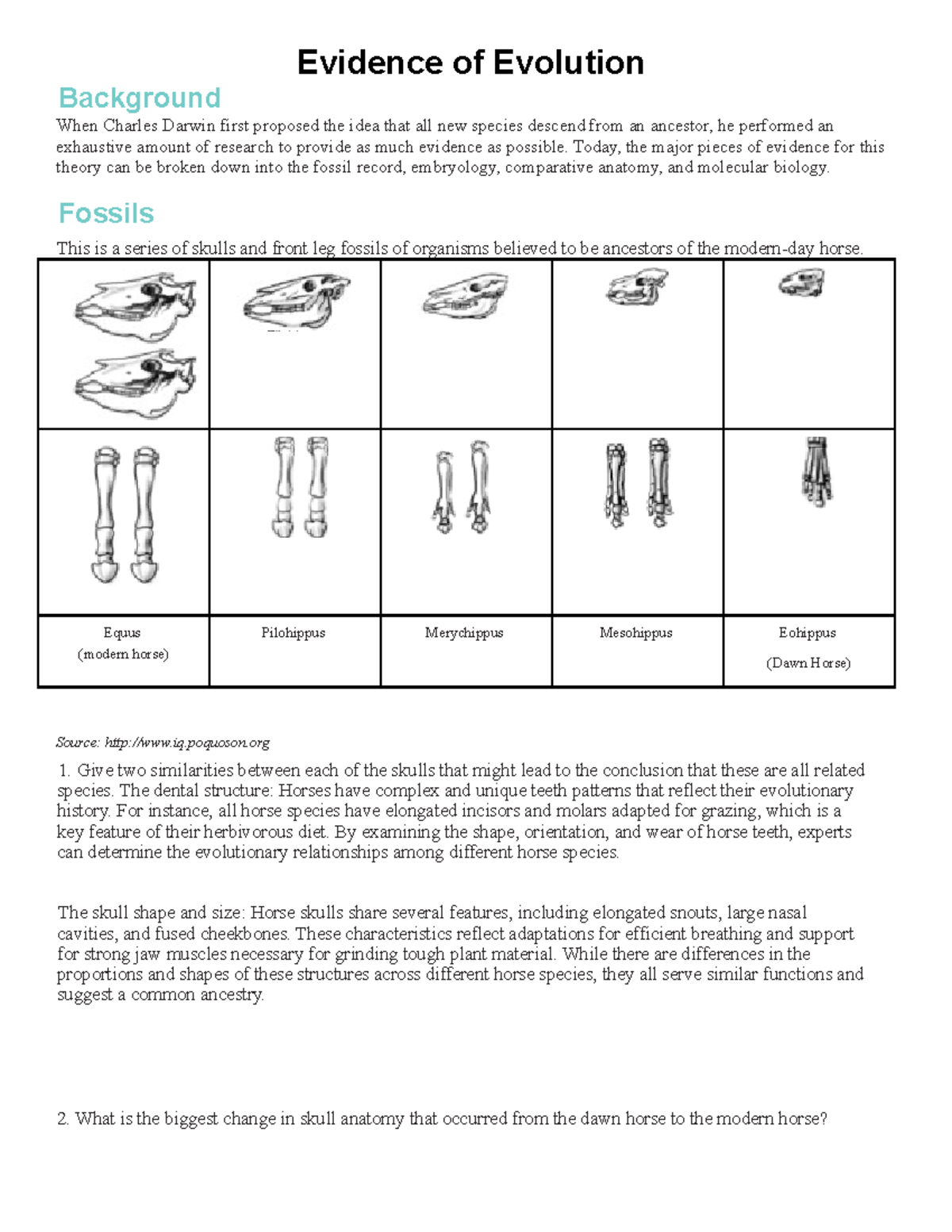 Evidence of Evolution exercises - Evidence of Evolution Background When ...