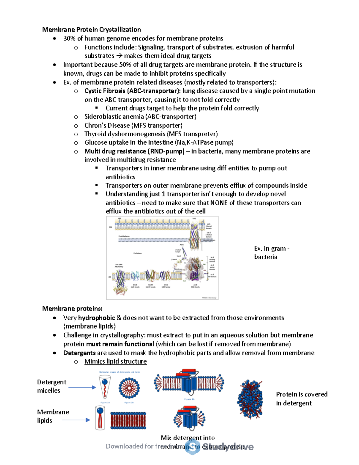 Beis - PX L6 - Beis - PX L6 - Membrane Protein Crystallization - 30% of ...