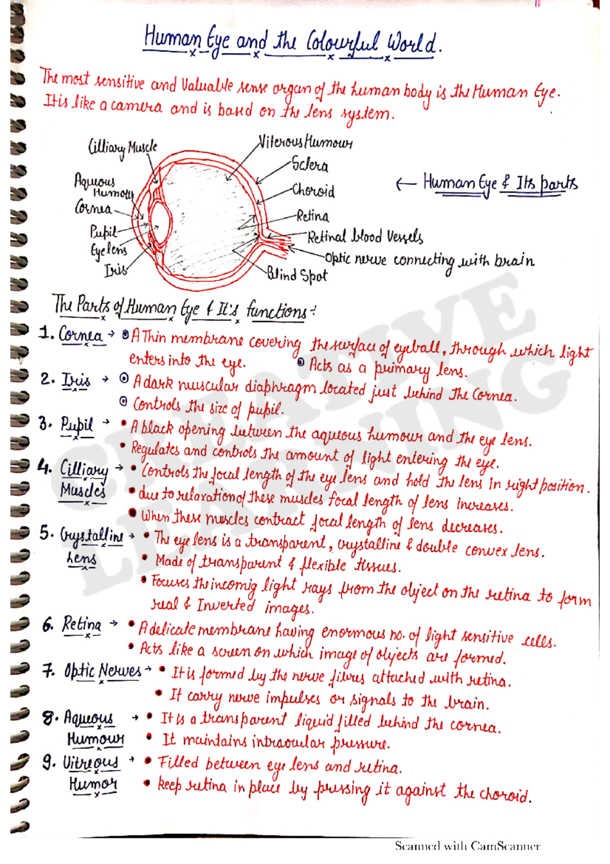 Ch. 11 The Human Eye and The Colourful world - Biology Class 12 - Studocu
