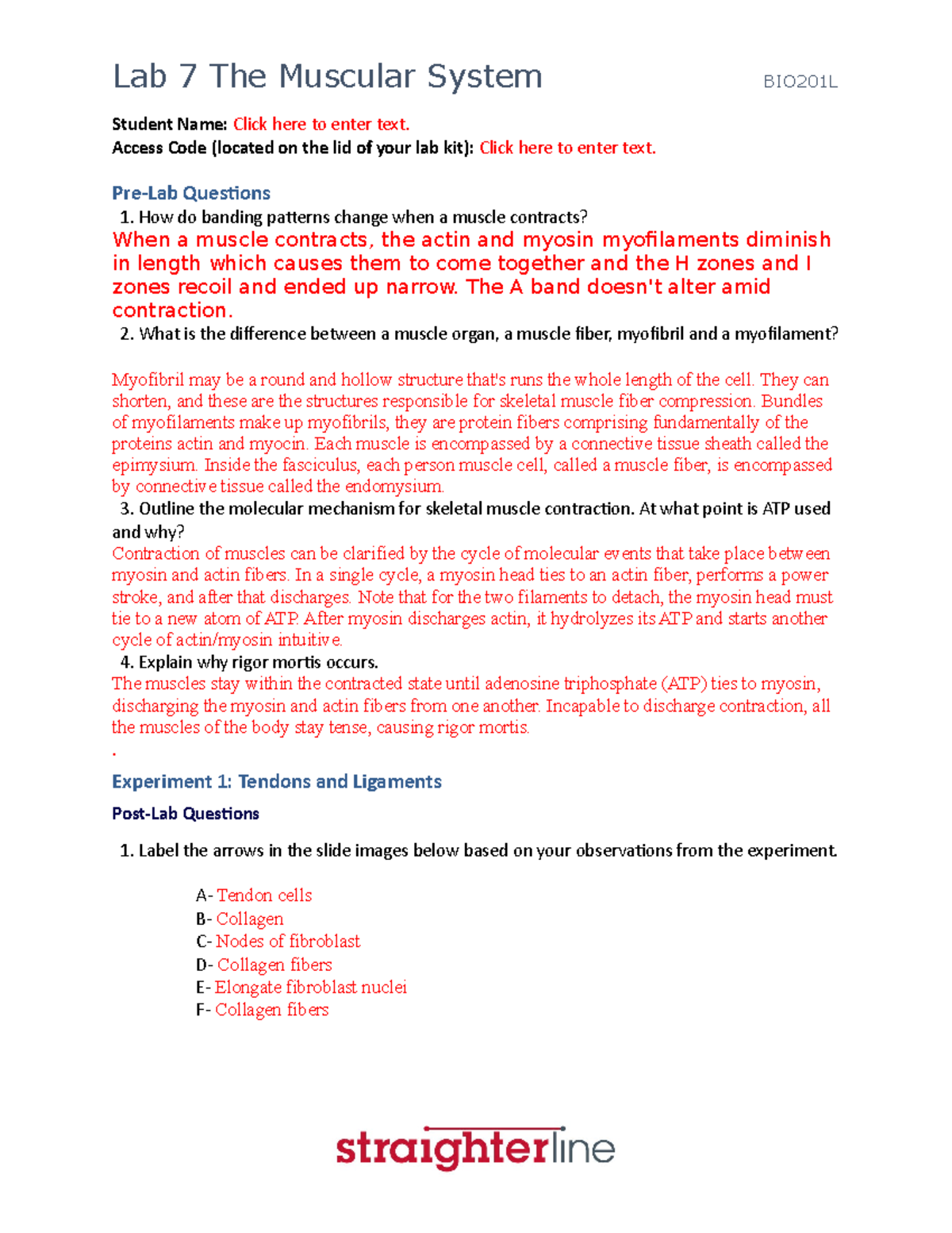 LAB7 Themuscularsystem - Student Name: Click here to enter text. Access ...