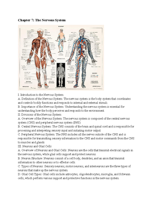 Human Anatomy Lecture Notes - Chapter 1 The Human Body: An Orientation ...