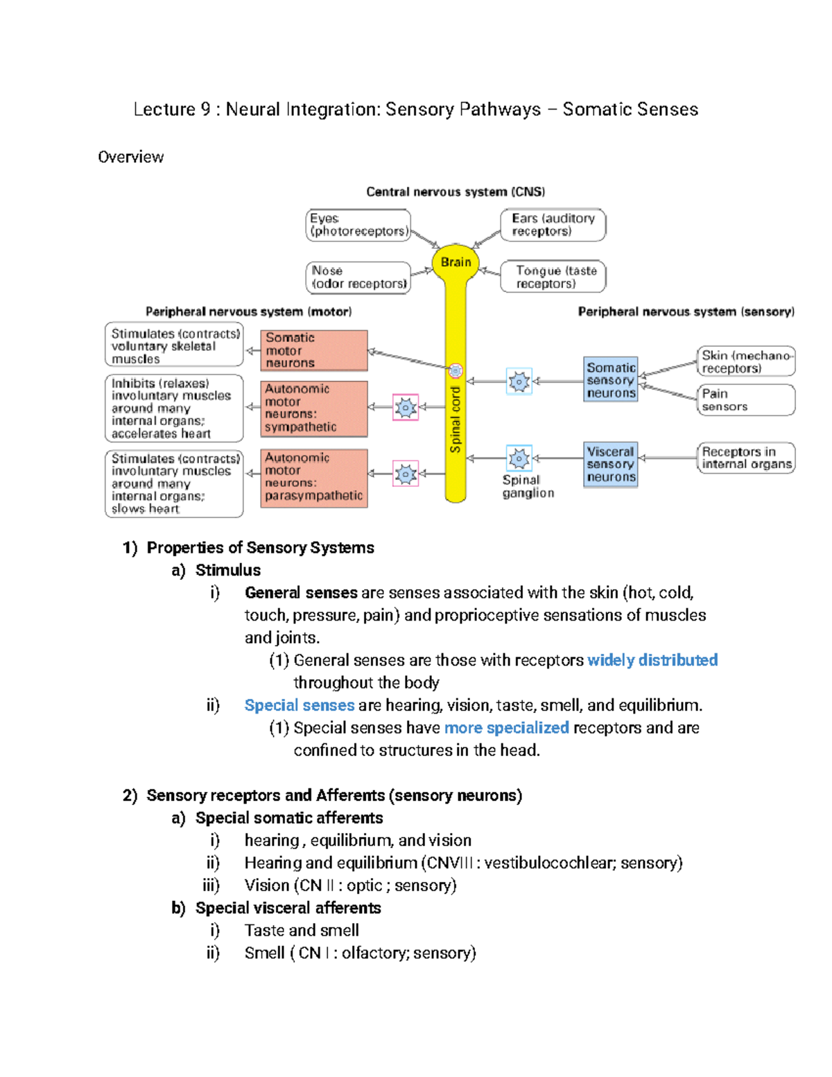 Somatic Sensory Input
