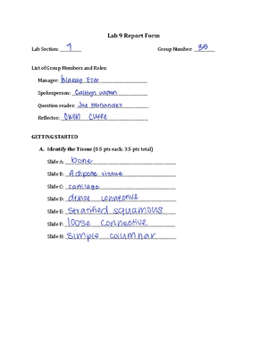 Lab 8 Report Summary - => Ã ALKNP KNI => A?PEKJ NKQL QI>AN EOP KB - Studocu