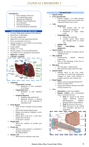 Group 1- Amino ACID AND Protein - AMINO ACIDS Building blocks of ...