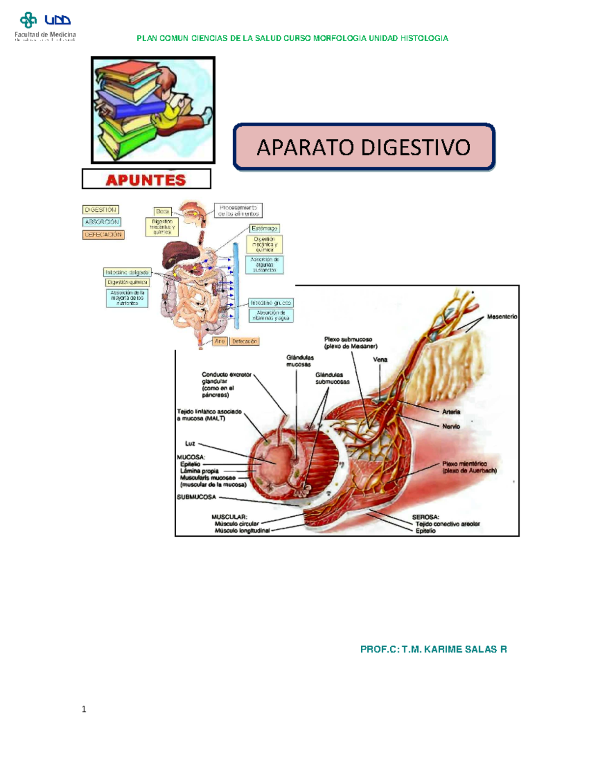 Apunte Histologia DEl Aparato Digestivo - Warning: TT: undefined function: 32 PROF: T. KARIME ...