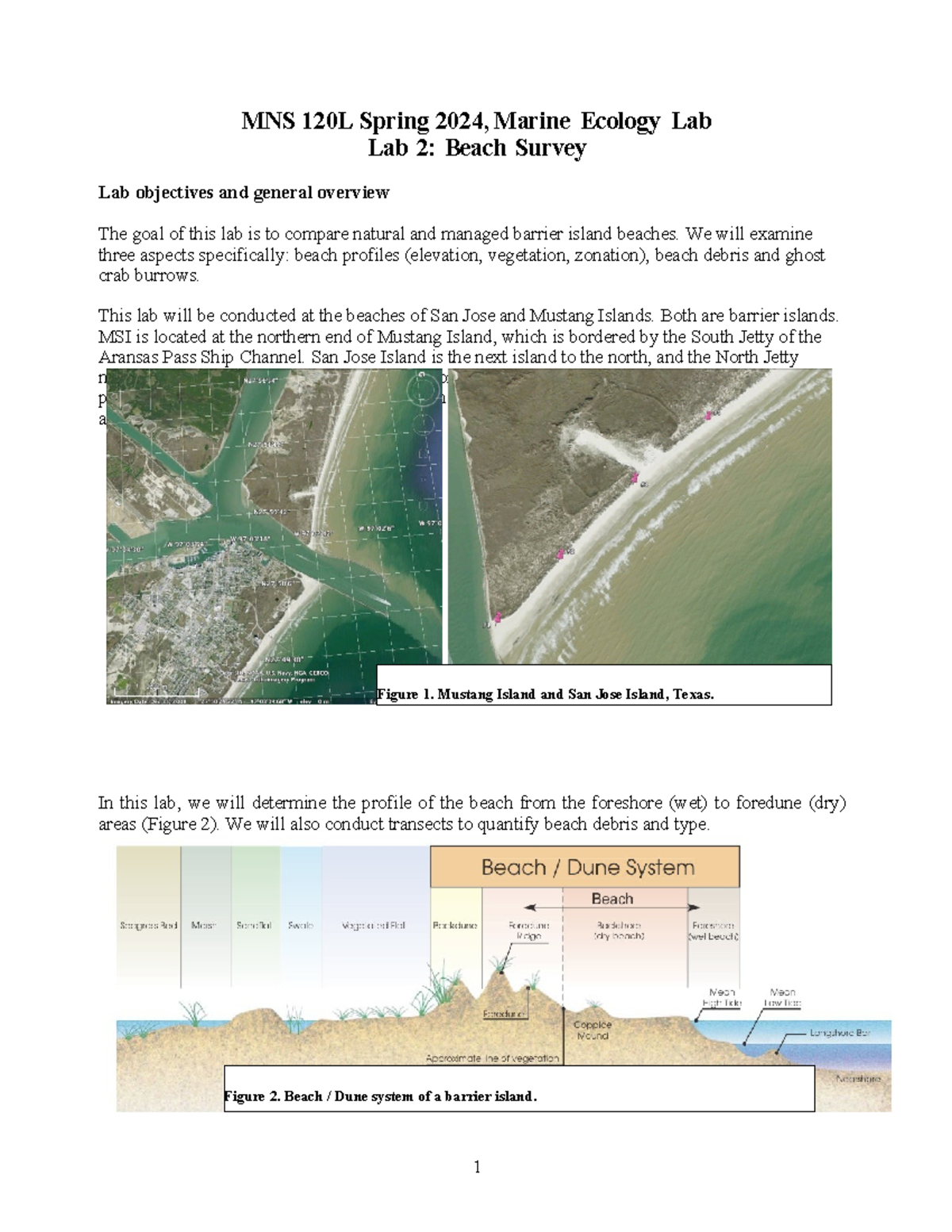 MNS120L Beach Lab Instructions 2024 - MNS 120L Spring 2024, Marine ...