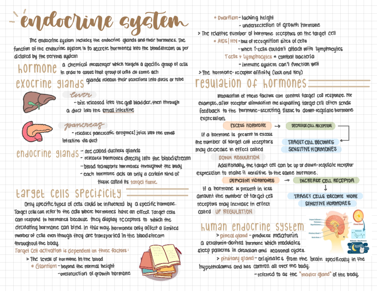 Biology notes - I - Dwarfism - lacking height under secretion of growth ...