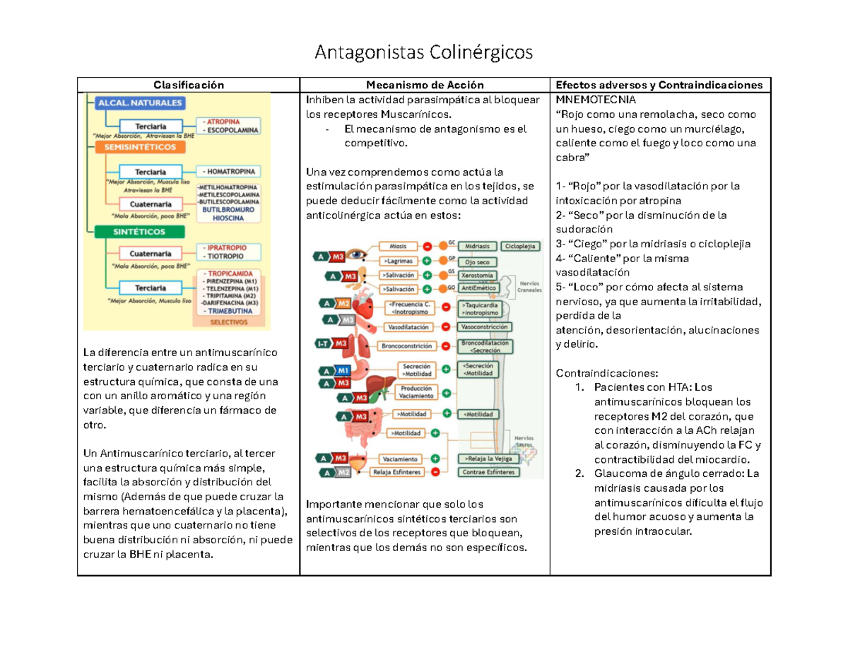 Anticolinergicos Tabla - Antagonistas Colinérgicos Clasificación ...