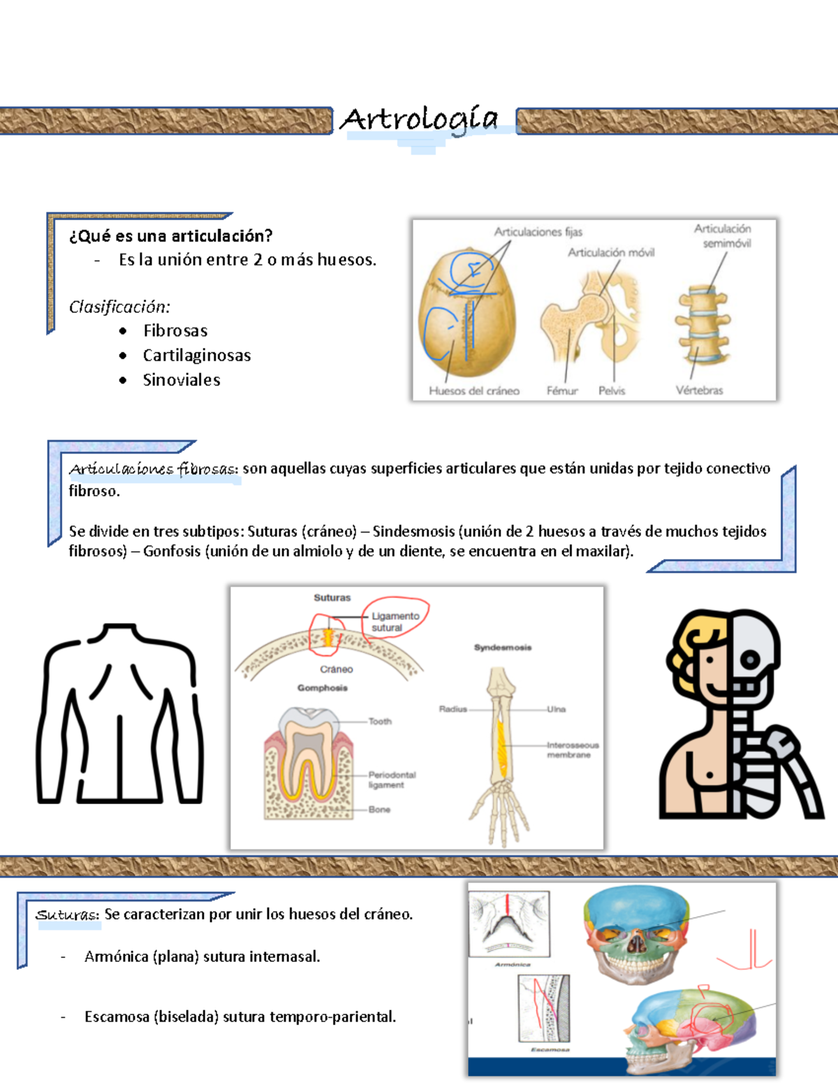 Artrología - Warning: TT: undefined function: 32 Warning: TT: undefined function: 32 Artrología ...