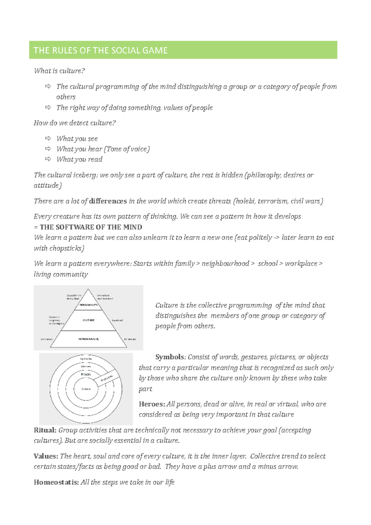 Samenvatting Understanding Global Cultures - THE RULES OF THE SOCIAL ...