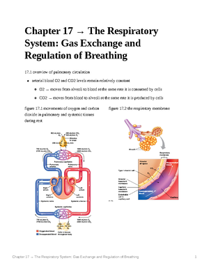 Study Guide Exam 2 - Chapters 7, 8, 9, 10, 11 - Study Guide Exam 2 ...