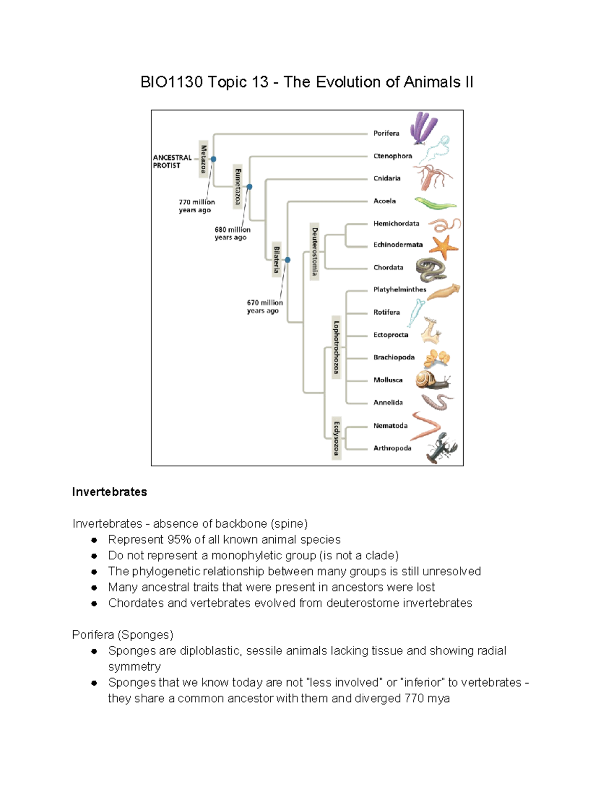 BIO1130 Topic 13 - BIO1130 Topic 13 - The Evolution of Animals II ...