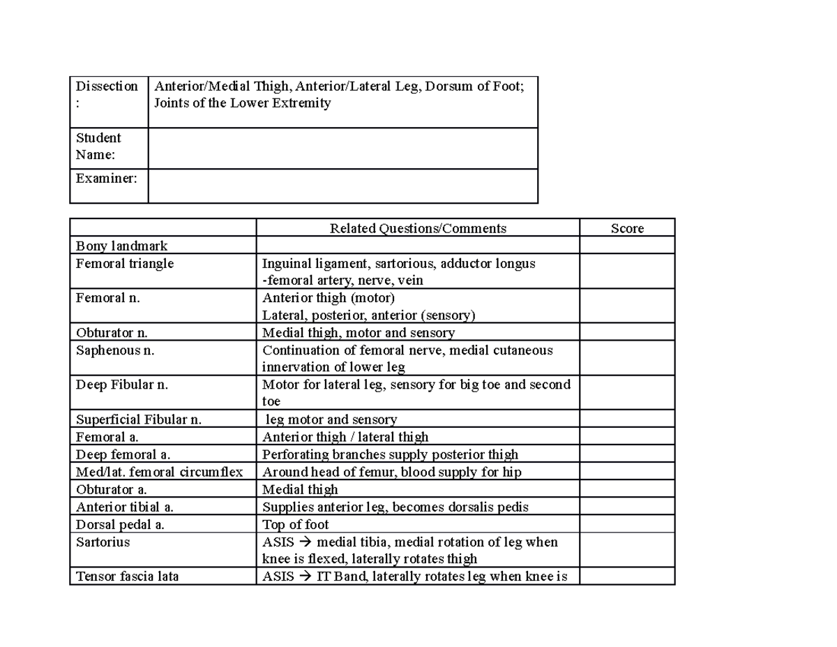 DPT Clinical Anatomy- Table conference 1 - Dissection : Anterior/Medial ...