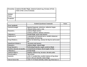 DPT clinical anatomy table conference 4 - Dissection : Anterior ...