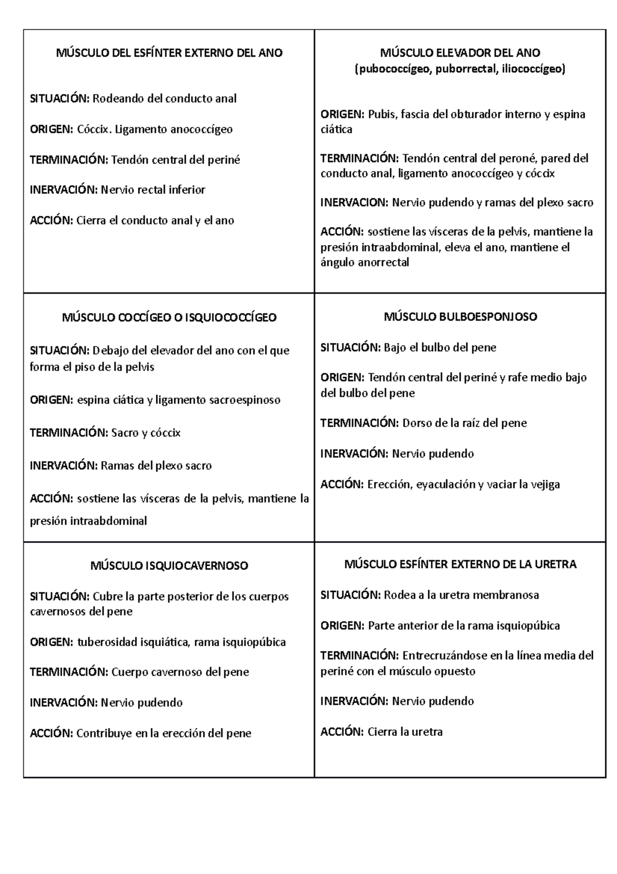 Flashcards. Músculos del periné - MÚSCULO DEL ESFÍNTER EXTERNO DEL ANO ...