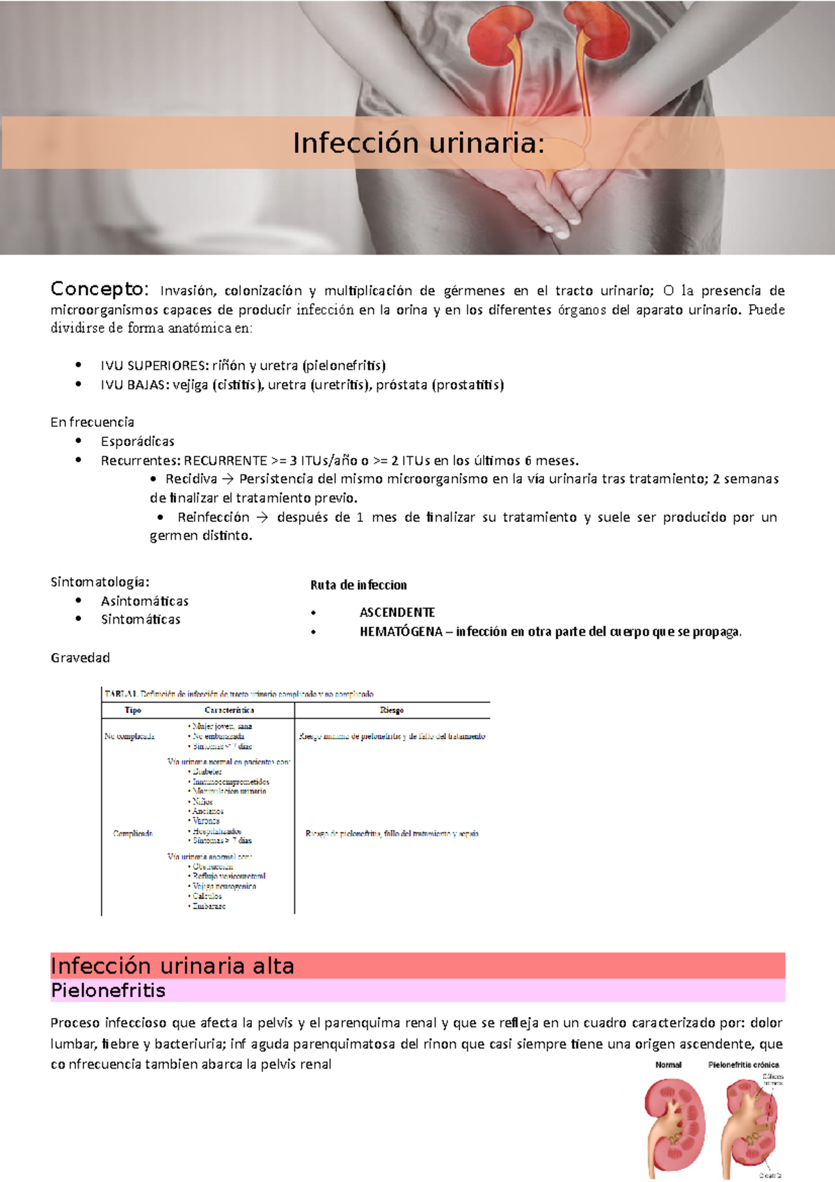 Infeccion urinarias - Concepto: Invasión, colonización y multiplicación ...