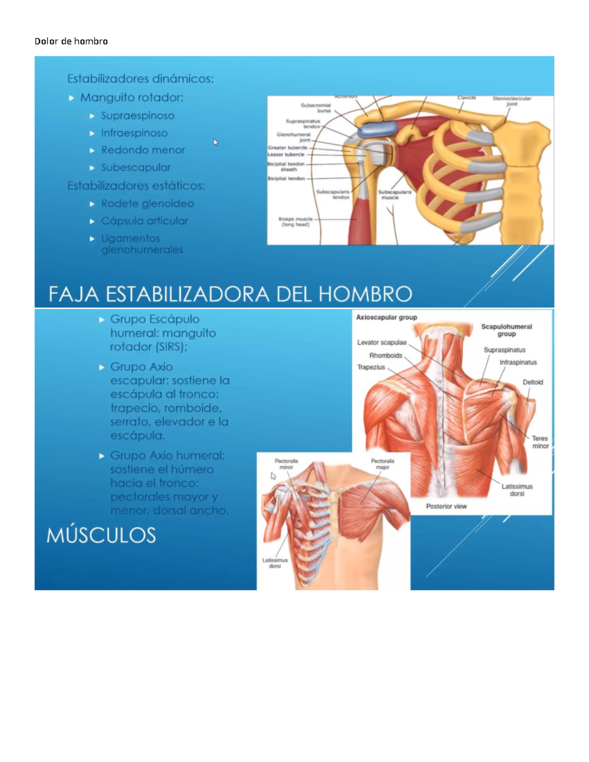Dolor de hombro - presentacion - Semiología Médica Ii - Dolor de hombro ...