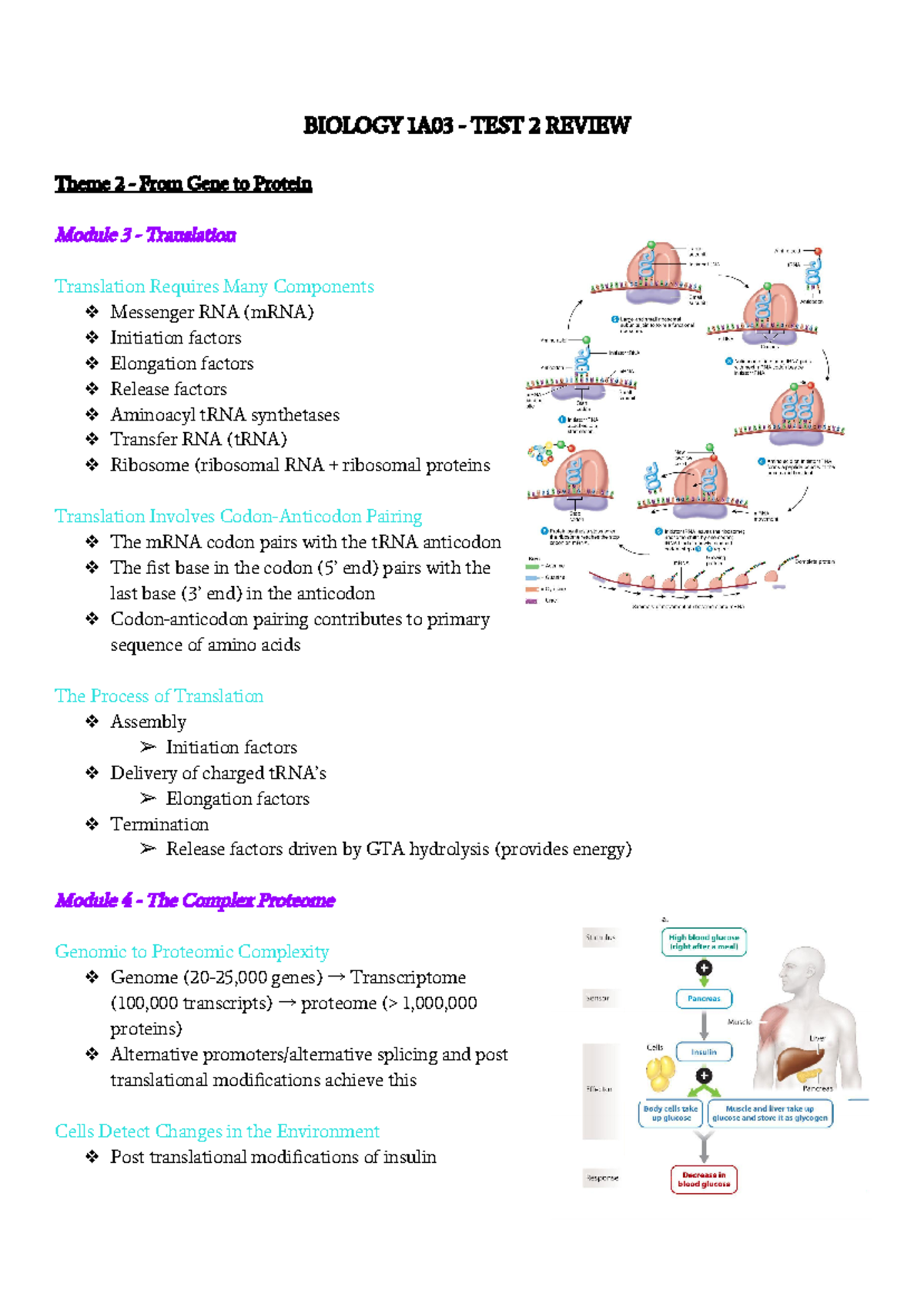 Biology 1A03 - Test 2 Review - BIOLOGY 1A03 - TEST 2 REVIEW Theme 2 ...