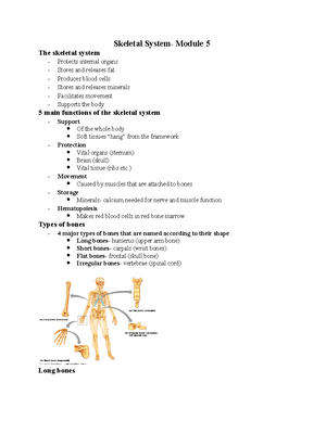 Structure & function of the body- module 1 - Structure & function of ...