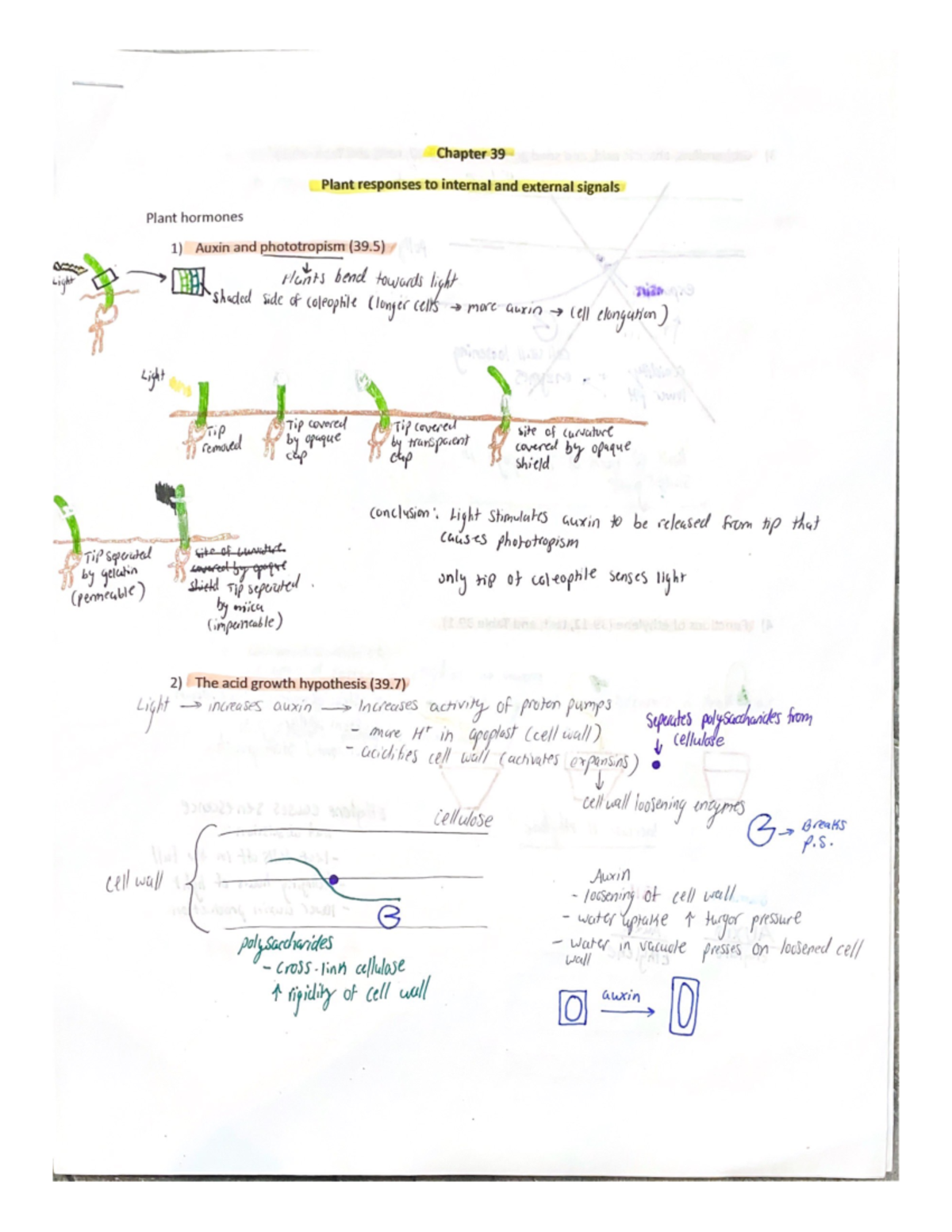 Plant Responses To Internal And External Signals (Ch. 39) - BIOL 240W ...