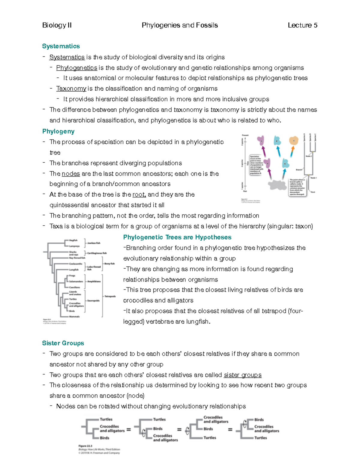 Bio II; Lec 5; Phylogenesis and Fossils (PDF) - Systematics ...