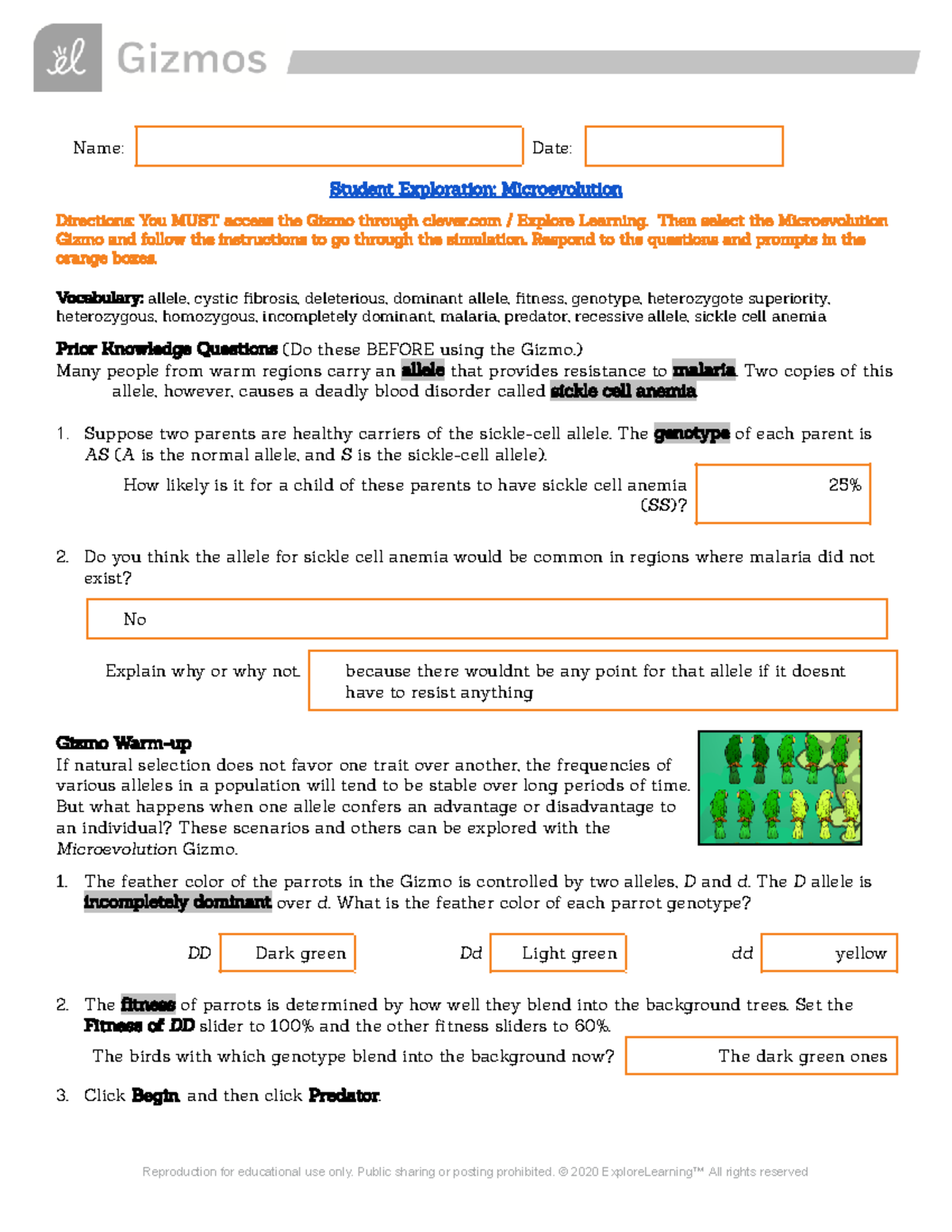 Connor Harmon - Microevolution Gizmo - 4653340 - Name: Date: Student ...