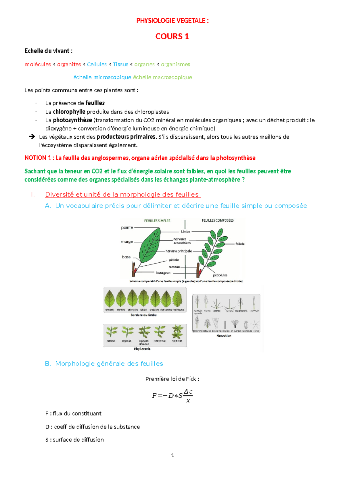 Physiologie Vegetale - ... - PHYSIOLOGIE VEGETALE : COURS 1 Echelle du ...