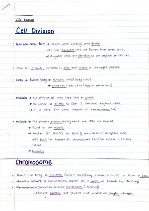 DNA AND RNA - YEAR12 NOTES - DNA AND RNA GRADE 12: IEB NOTES (TN) DNA ...