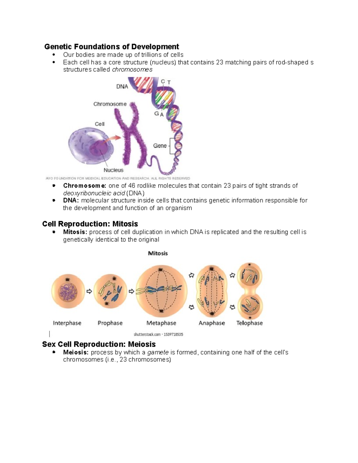 Genetic Foundations of Development - , 23 chromosomes) Cell Reproduction Gamete: an organism’s ...