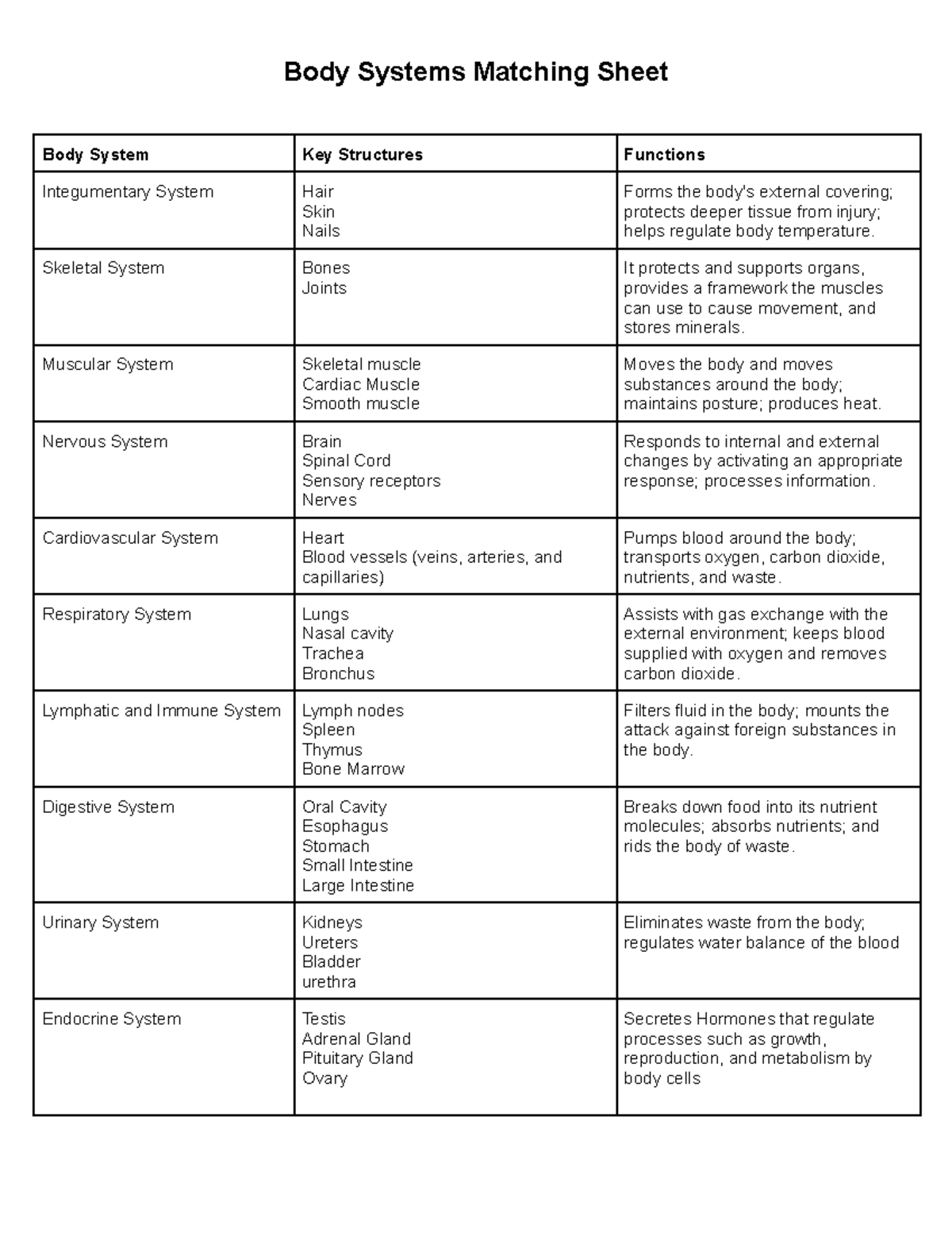 Copy of Body Systems Matching Table - Body Systems Matching Sheet Body ...