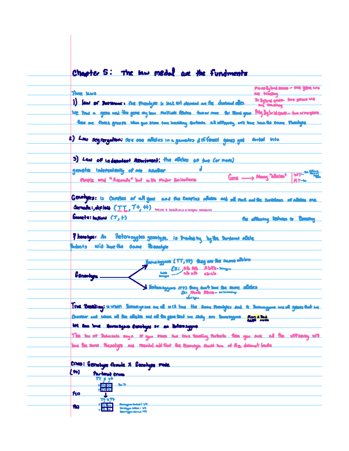 Study guilde for exam 2 - Chapter 5 the law medal are the Fundments ...
