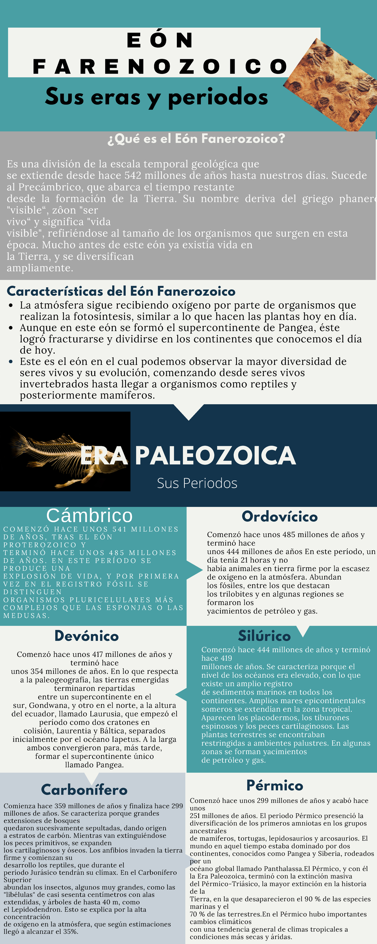 Eón Fanerozoico periodos y eras - Sus eras y periodos E Ó N F A R E N O ...
