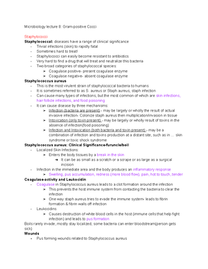 Med-Presentation-6 - Presentation - Rannamaari was a sea demon that ...